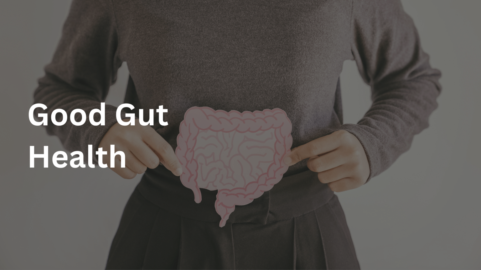 Enhance Your Wellbeing With Good Gut Health Insights